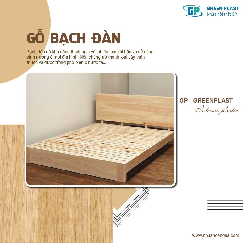Gỗ Bạch Đàn - Loại Gỗ Đa Di Năng - Nội thất Nhựa Hoàng Hà
